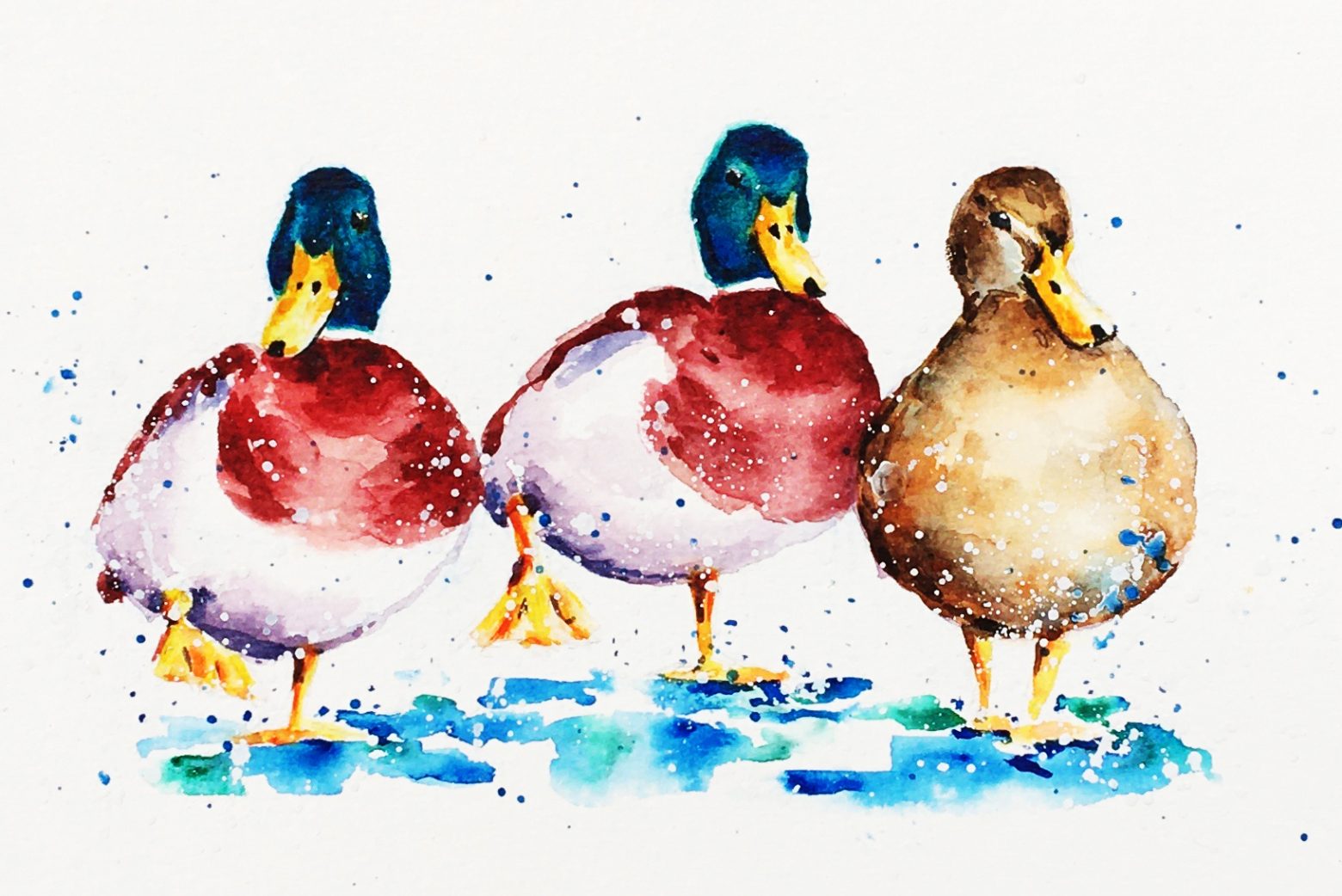 Dancing Ducks! | Annette Morris Art