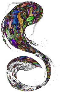 Mandalas, ZenTangles and ZenDoodles