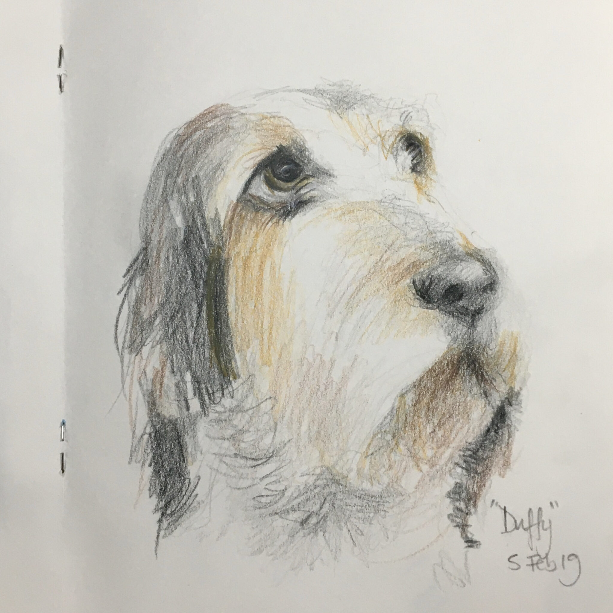 Duffy | Annette Morris Art