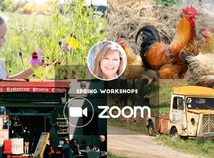 Zoom workshops – Spring 2024 | Annette Morris Art